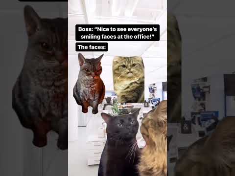 From Monday to eternity 😂 #funny #workmemes #funnymemes #viral #workfails #memes #cat #workplace