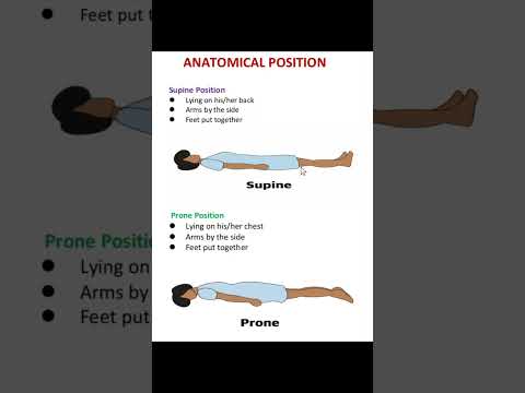 SUPINE POSITION VS PRONE POSITION #anatomy #anatomicalposition #medical #medicallectures #viral