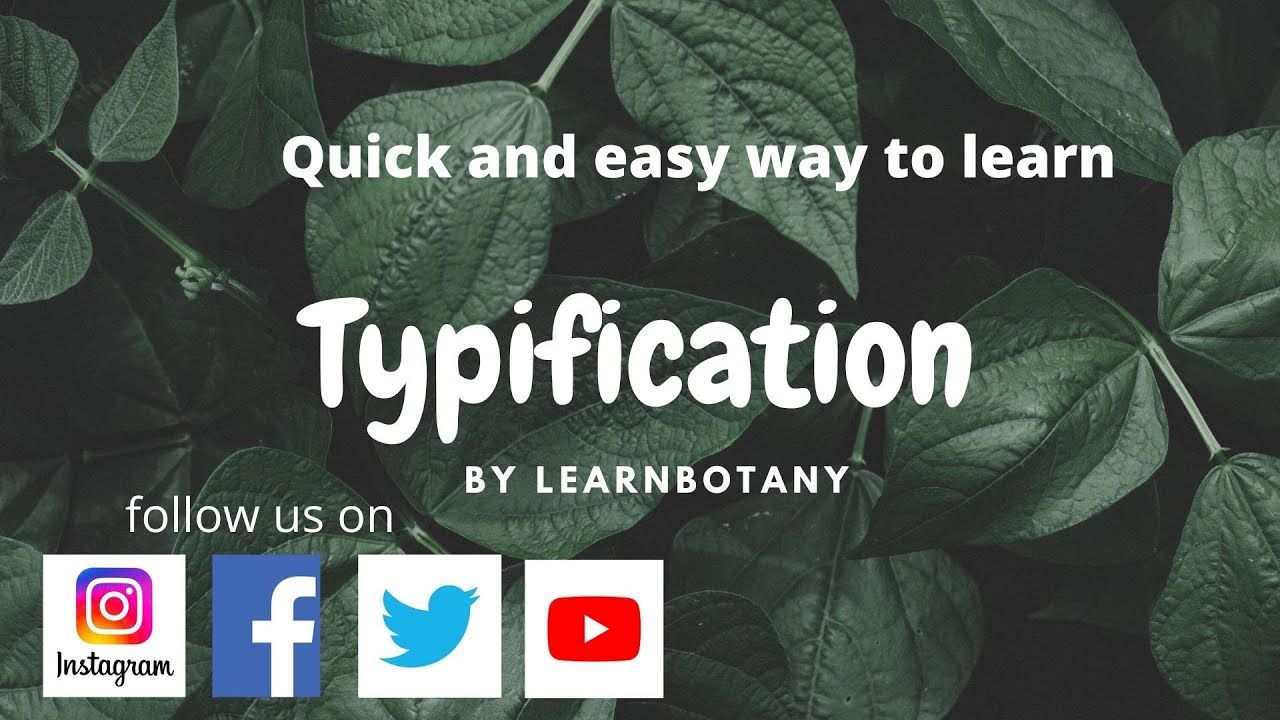 TYPIFICATION I QUICK AND EASY METHOD