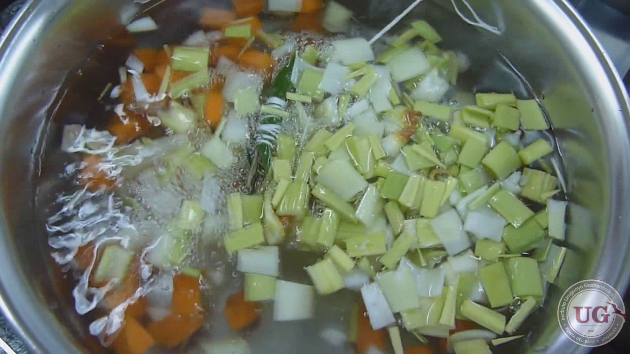 Fondos de vegetales