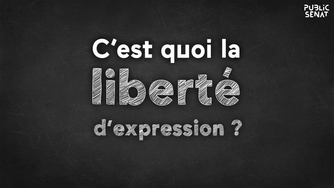 La liberté d’expression : a-t-on le droit de tout dire ? - Public Sénat