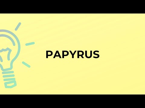 What is the meaning of the word PAPYRUS?