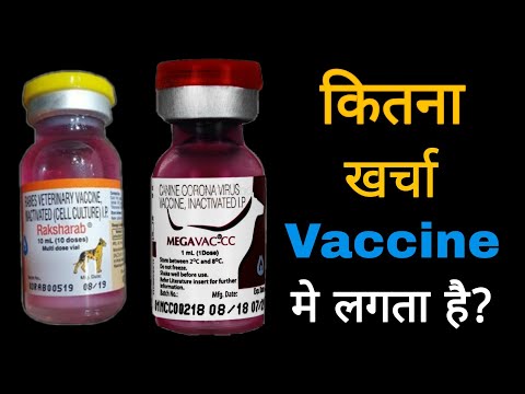 Veterinary Vaccines - Animal Vaccine Latest Price, Manufacturers ...