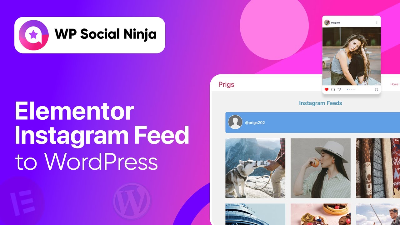 How to Add Instagram Feed With Elementor On Your WordPress Website