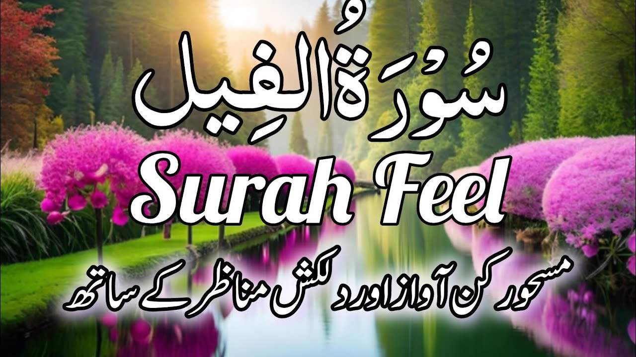 Surah Al Feel سورۃ الفیل Full Quran Recitation Quran