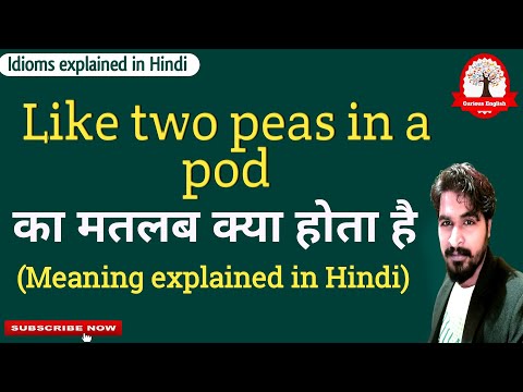 Like two peas in a pod Meaning in Hindi | Like two peas in a pod ka matlab kya hota hai