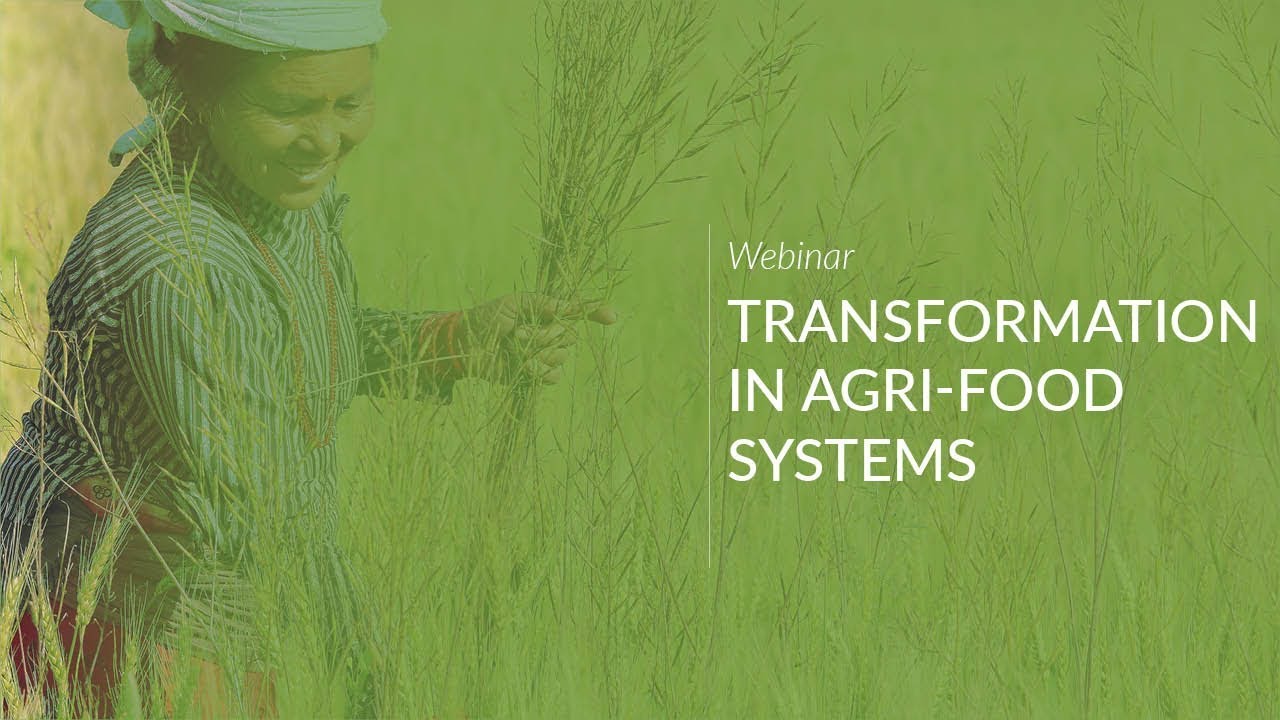 Webinar: Transformation in Agri-Food Systems: Preparing for the Future