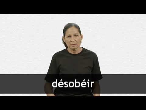 English Translation of “DÉSOBÉIR” | Collins French-English Dictionary