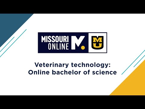 Mizzou's Bachelor of Science in Veterinary Technology program wins UPCEA Engagement Award.