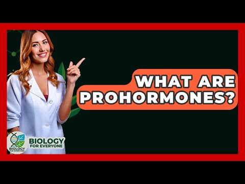 What Are Prohormones? - Biology For Everyone