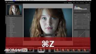 Adobe CS6 Creative Suite 6 Design Standard Software Suite for Windows ...