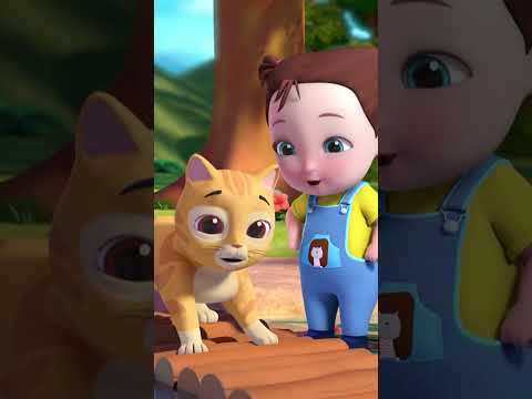 Build It Wood & Sticks | Nursery Rhymes & Kids Songs | NuNu Tv