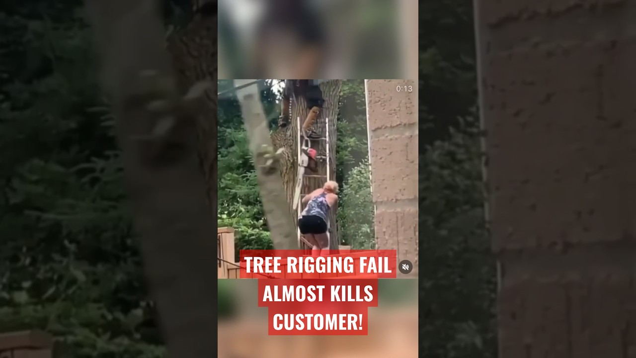 Tree Rigging Fail Almost Kills Customer!
