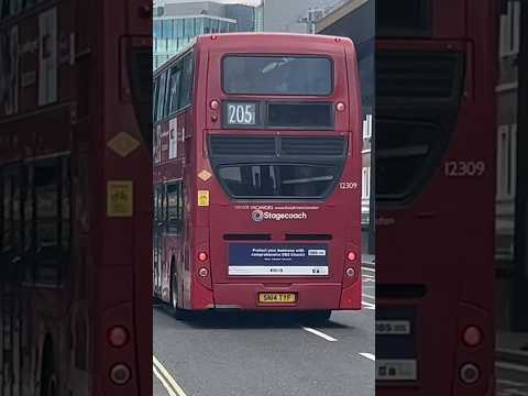Route 205 at Paddington