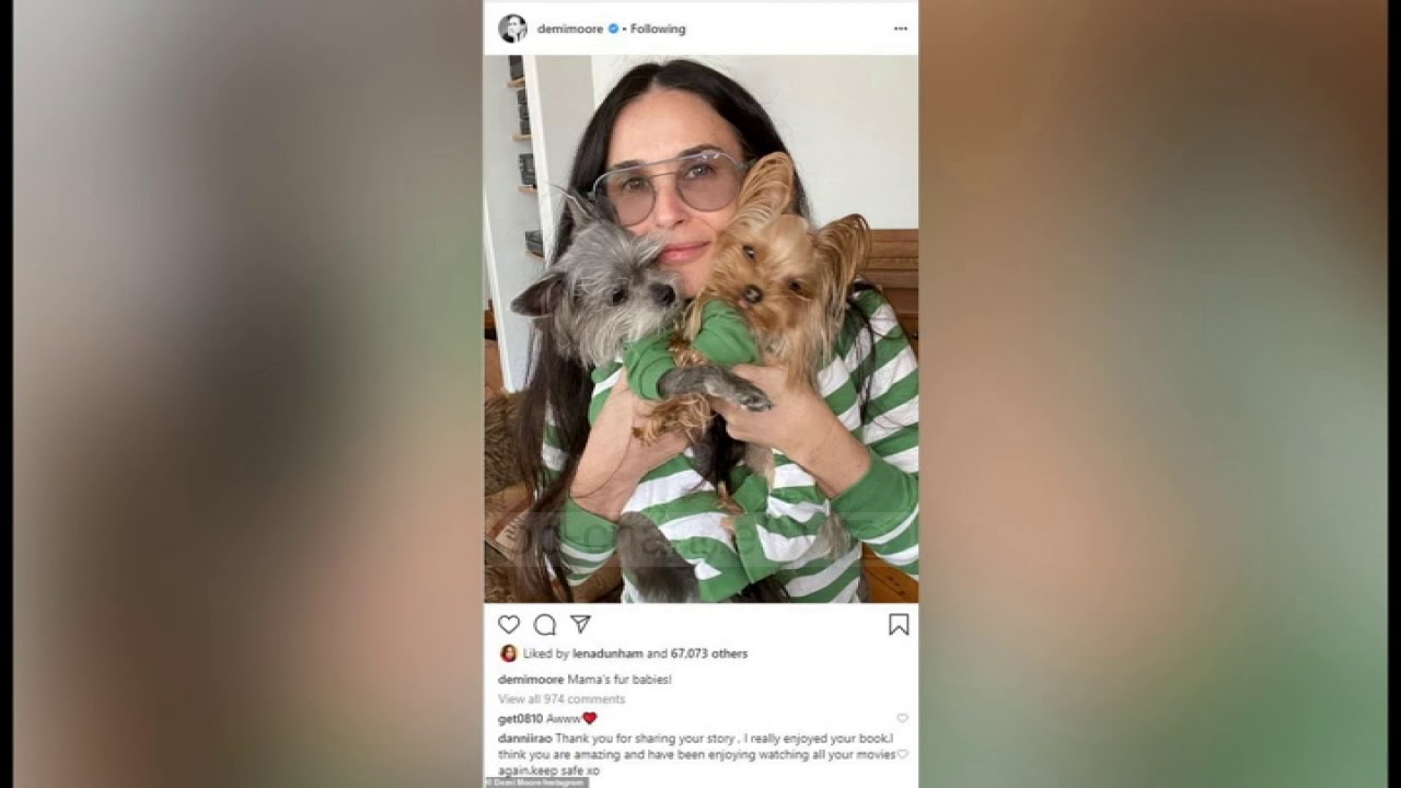 Top News – Çifti Willis dhe Moore/ Të divorcuar por bashkë në izolim ... Top News – Çifti Willis dhe Moore/ Të divorcuar por bashkë në izolim ...