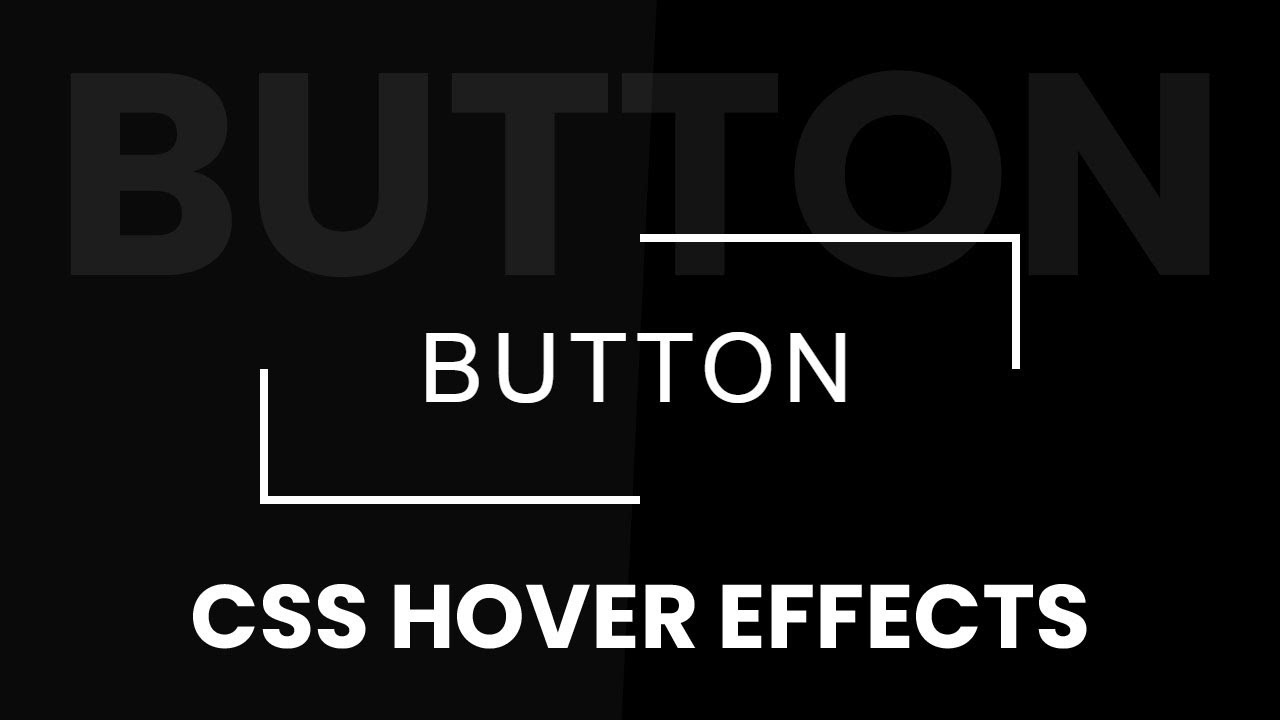 CSS Button Hover Effects | Sliding Border