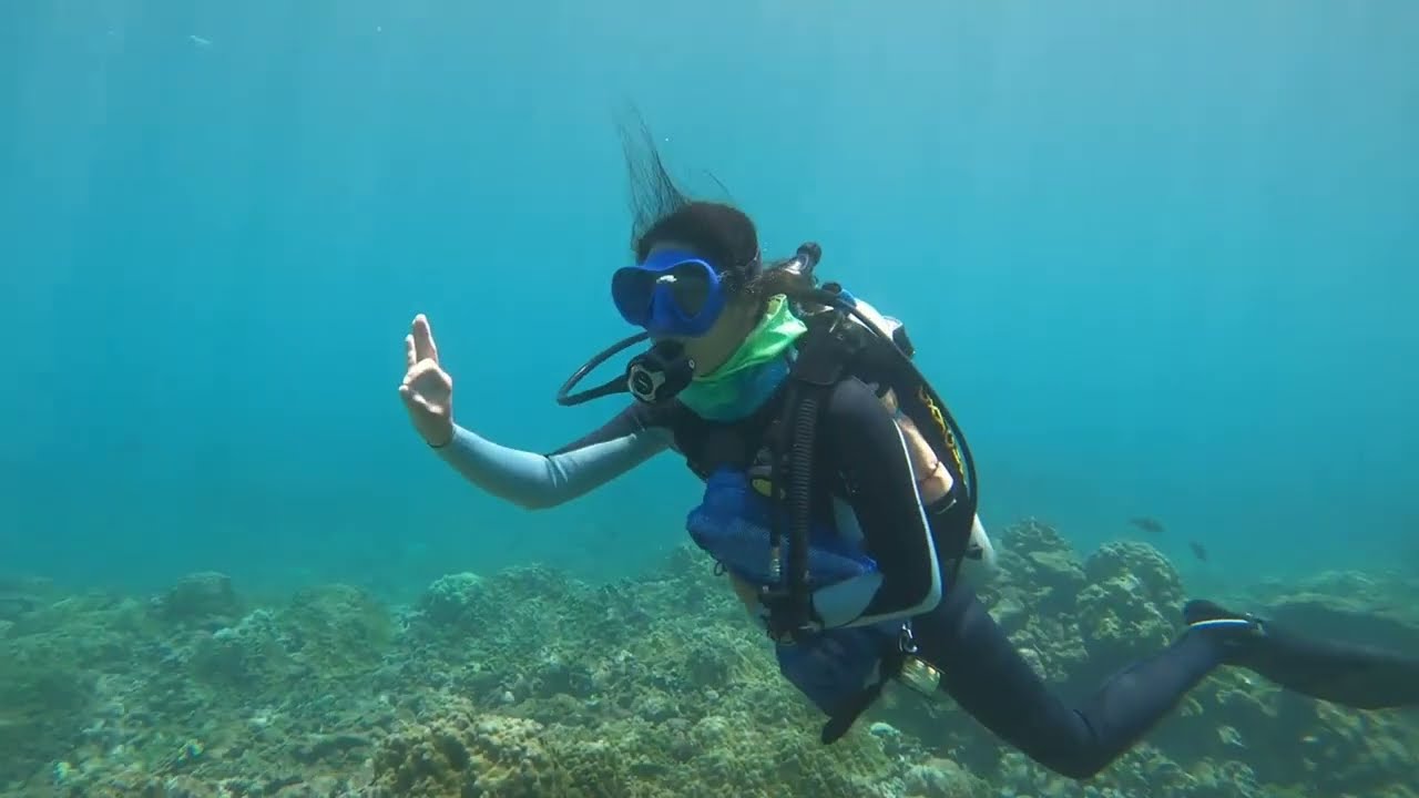 Ocean acidification - silently killing life!