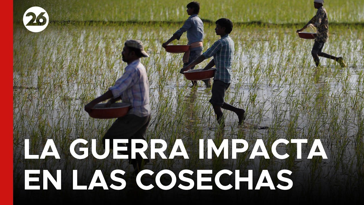 🚨 GLOBAL FOOD PRICE RISE | FAO reports a 2.4% increase in international prices