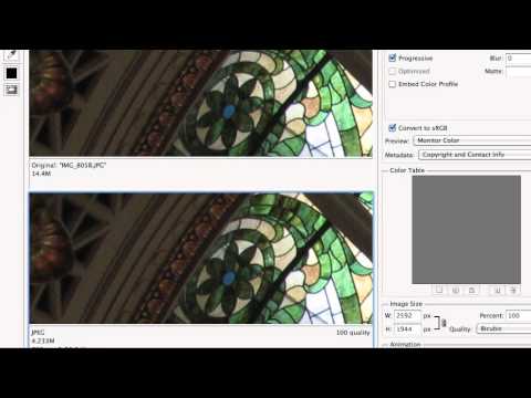 File Formats