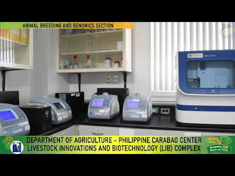 Philippine Carabao Center - Virtual Tour