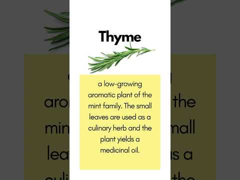 Thyme definition #english #words #learnenglish #language #vocabulary #education #learning
