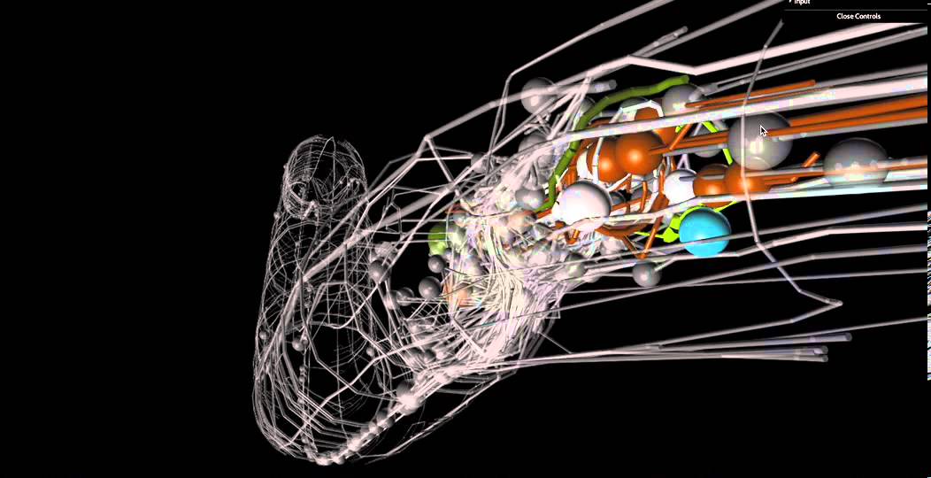 C. elegans connectome exploration via OpenSourceBrain