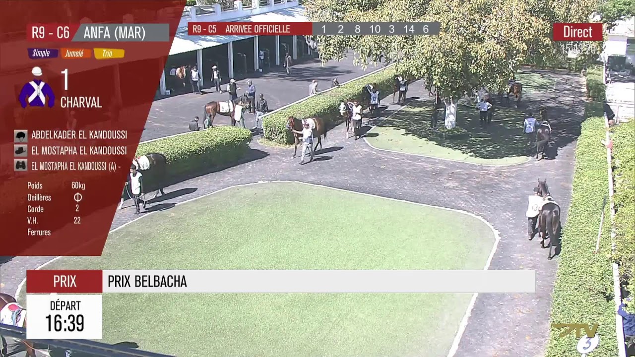 Live Hippodrome « CASABLANCA » Courses du  03/04/2026