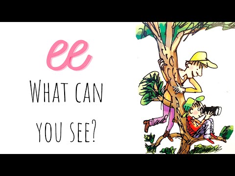 RWI Set 2: ee Reading and Writing Lesson