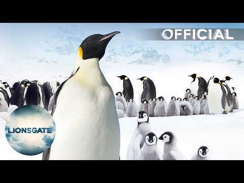 March of the Penguins 2 - Trailer – Out Now On Digital Download, DVD & Blu-ray