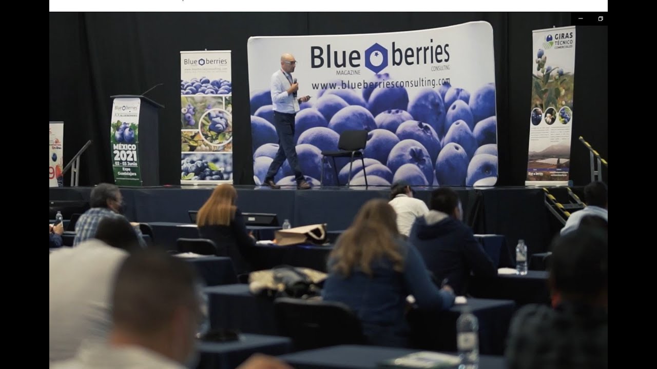 Blueberries TV | Blueberries Consulting