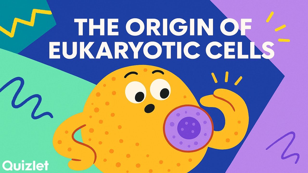 What Are Eukaryotic Cells? Endosymbiosis and Evolution Explained