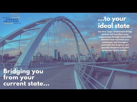 Sinogap Solutions - Who We Are