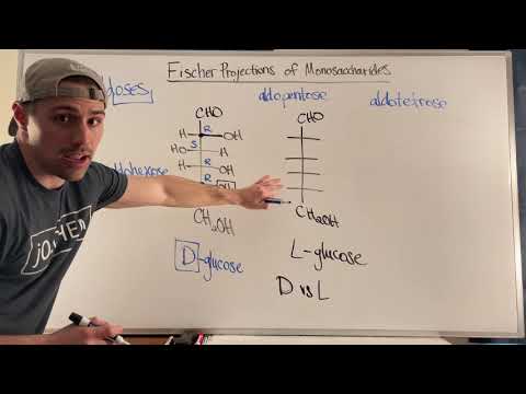 Drawing Fischer Projections & Terminology of D and L Sugars