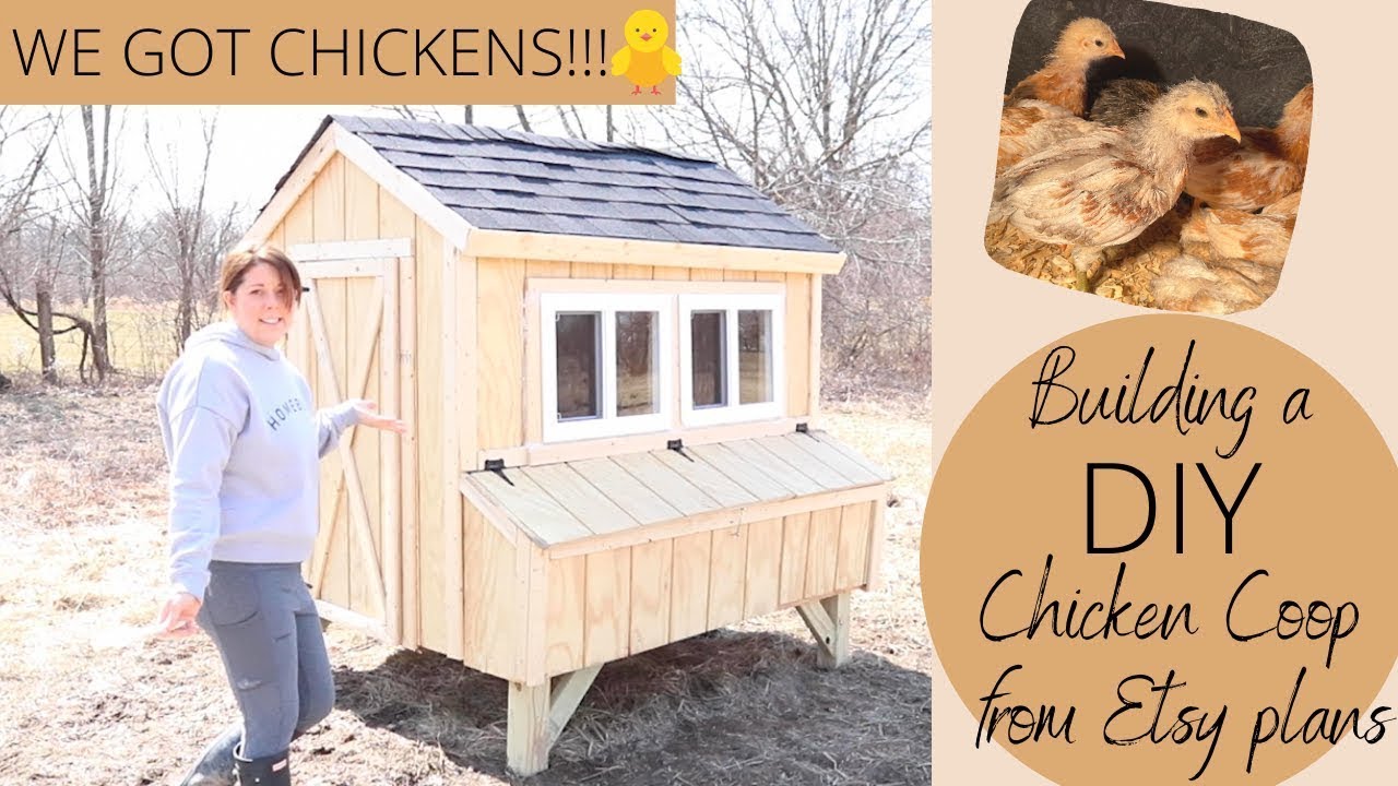 We built a DIY CHICKEN COOP from ETSY plans for our chicks! 🐥