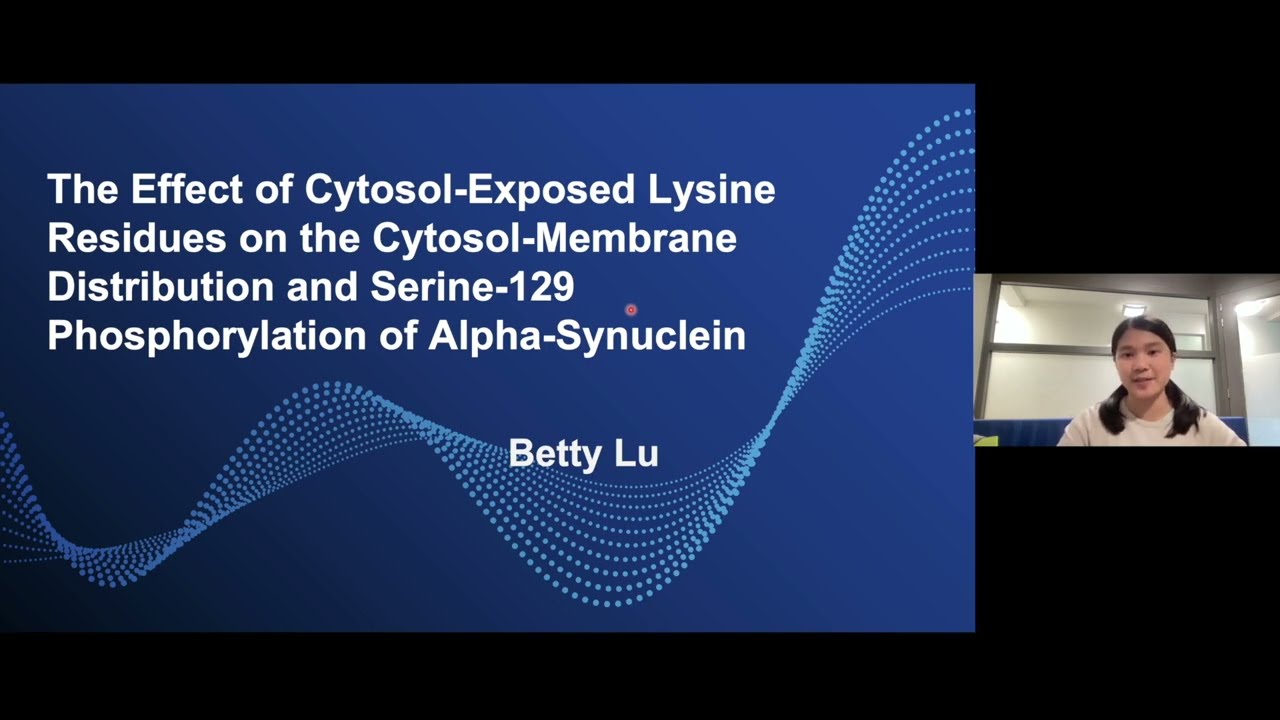 Eureka Research: The Effect of Cytosol-Exposed Lysine Residues on the Cytosol-Membrane Distribution
