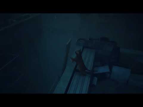 Steam Community :: Video :: [Stray] Gameplay 006
