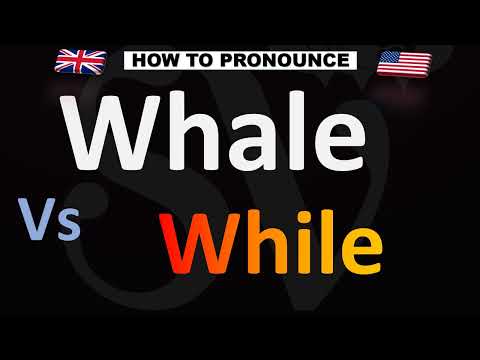 How to Pronounce WHALE vs. WHILE