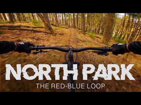 North Park Mountain Bike Trails // The Red-Blue Loop