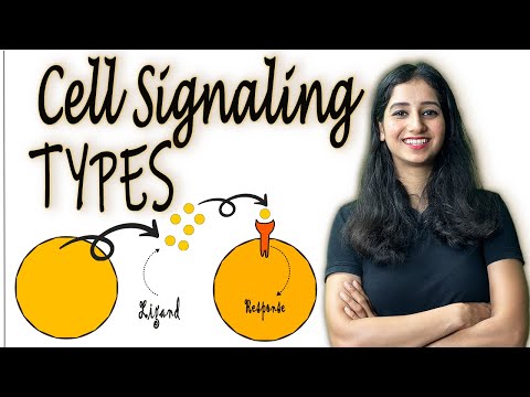Types of Cell Signaling II Signal Molecules and Receptors Video Lecture ...