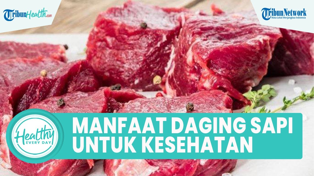Sering Disebut Bikin Kolesterol Naik, Ini 6 Manfaat Daging Sapi yang ...