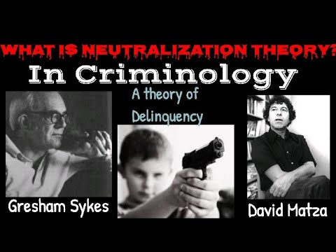 What is Neutralization theory? and its techniques, explianed with examples.