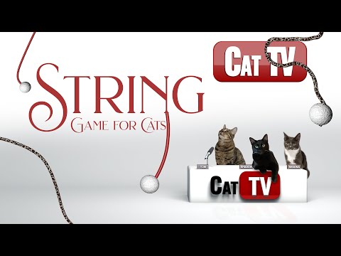 CAT TV Games | It's All About the STRING! | String Game for Cats to Watch
