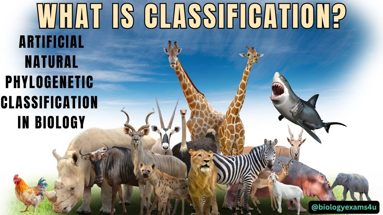 What is Classification? Artificial, Natural and Phylogenetic Classification in Biology with examples