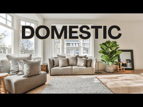 What is the meaning of Domestic?