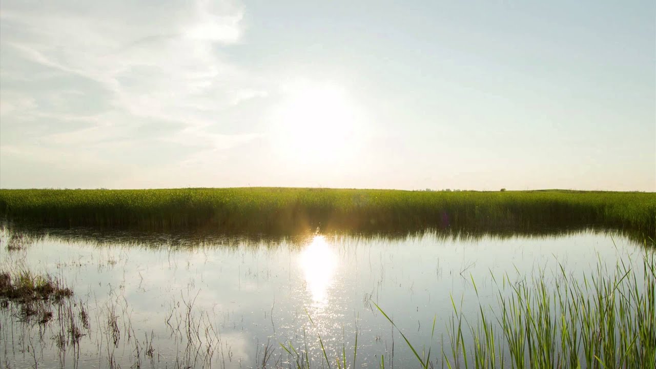 iVolve - The Complete Optical Access Platform