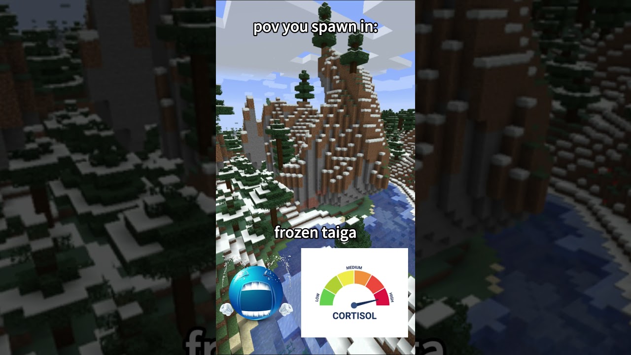 minecraft spawn moment