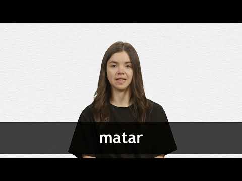 English Translation of “MATAR” | Collins Spanish-English Dictionary