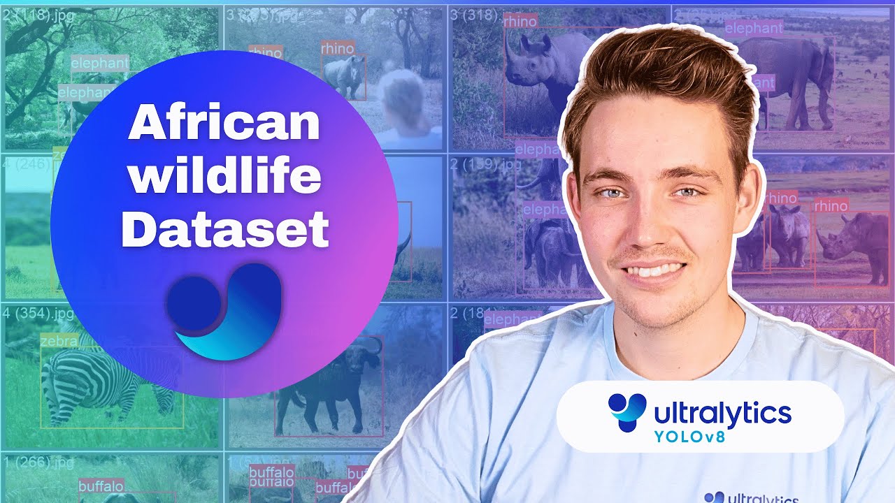 아프리카 야생 동물 데이터 세트 - Ultralytics YOLO Docs