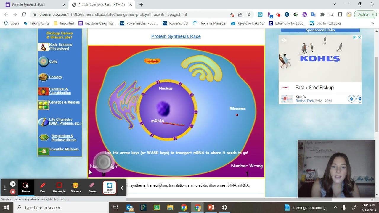 Protein Synthesis Race