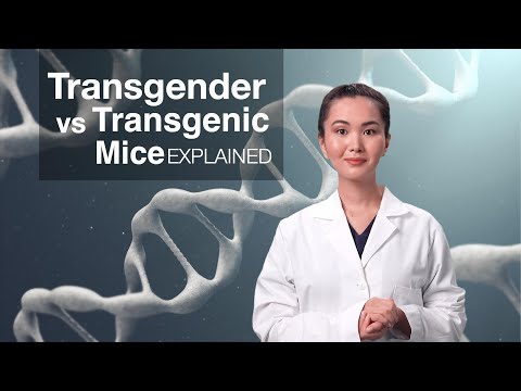 Transgenic vs Transgender Mice Explained — The Truth Behind Trump's Viral Comment